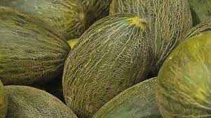 Comprar melones BOLLO a Domicilio 🍊【Naranjea】 – Servifruta